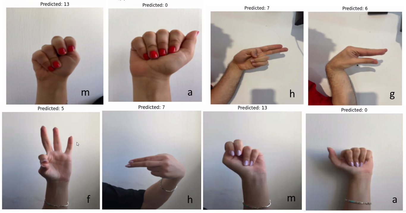 GitHub - hadarshloosh/DL-project: Hadas Manor and Hadar Shloosh's project in DL course