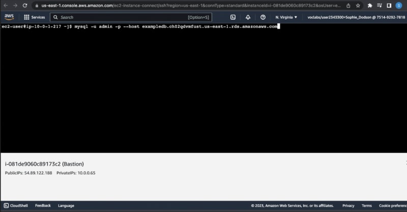 GitHub - sophiedodsonx/Capstone-project