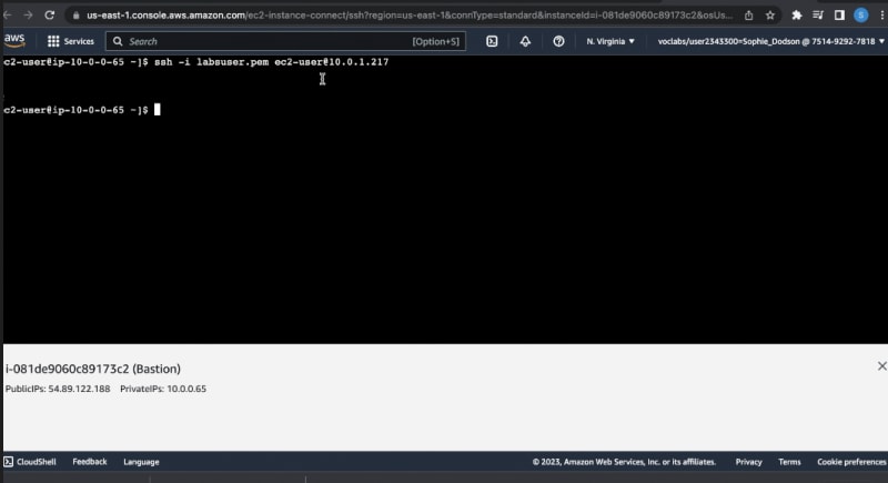 GitHub - sophiedodsonx/Capstone-project