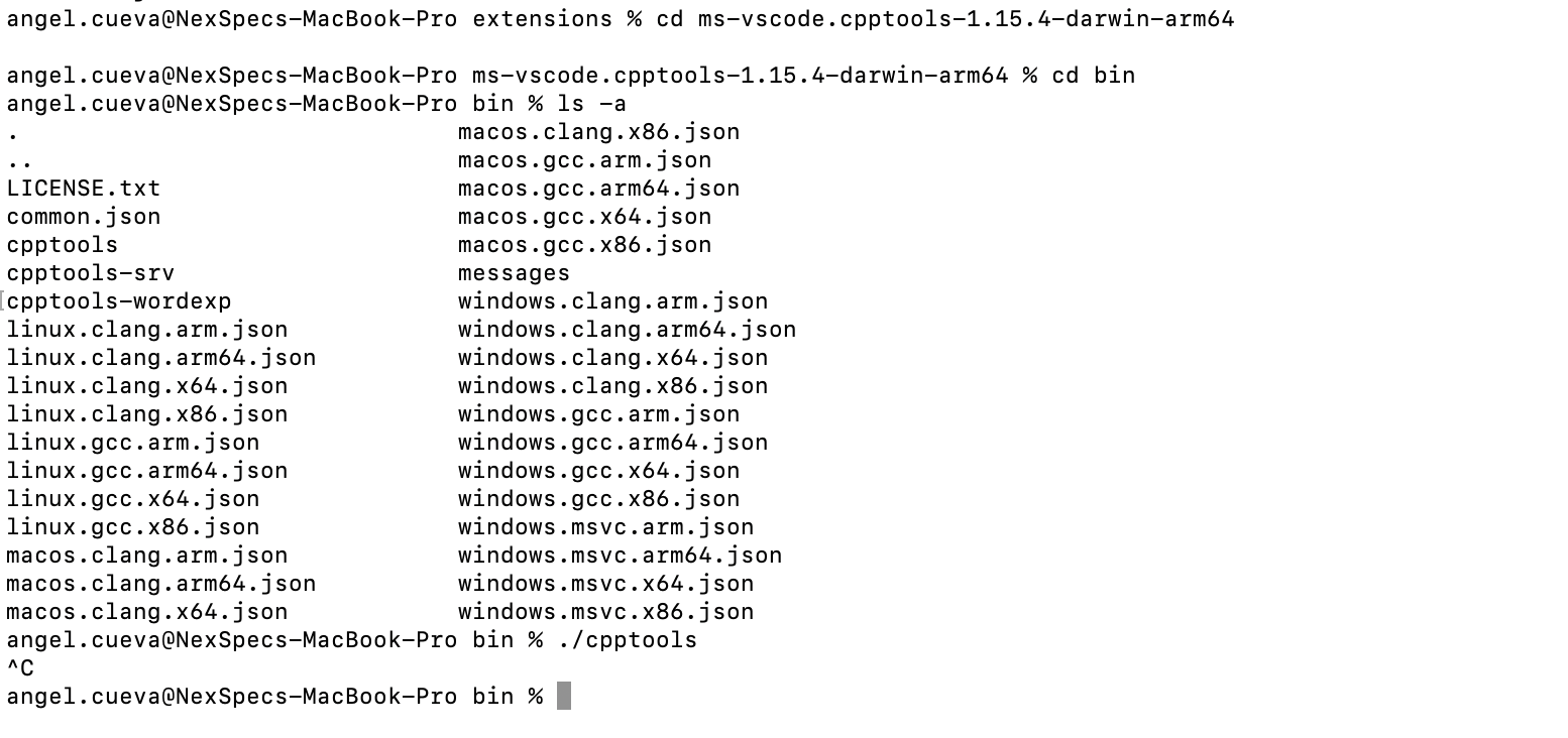 Unable To Start The Cc Language Server Intellisense Features Will Be Disabled Error Error