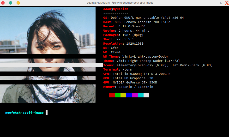 Image displays disappears automactically or upon mouse hover over · Issue #1074 · dylanaraps ...