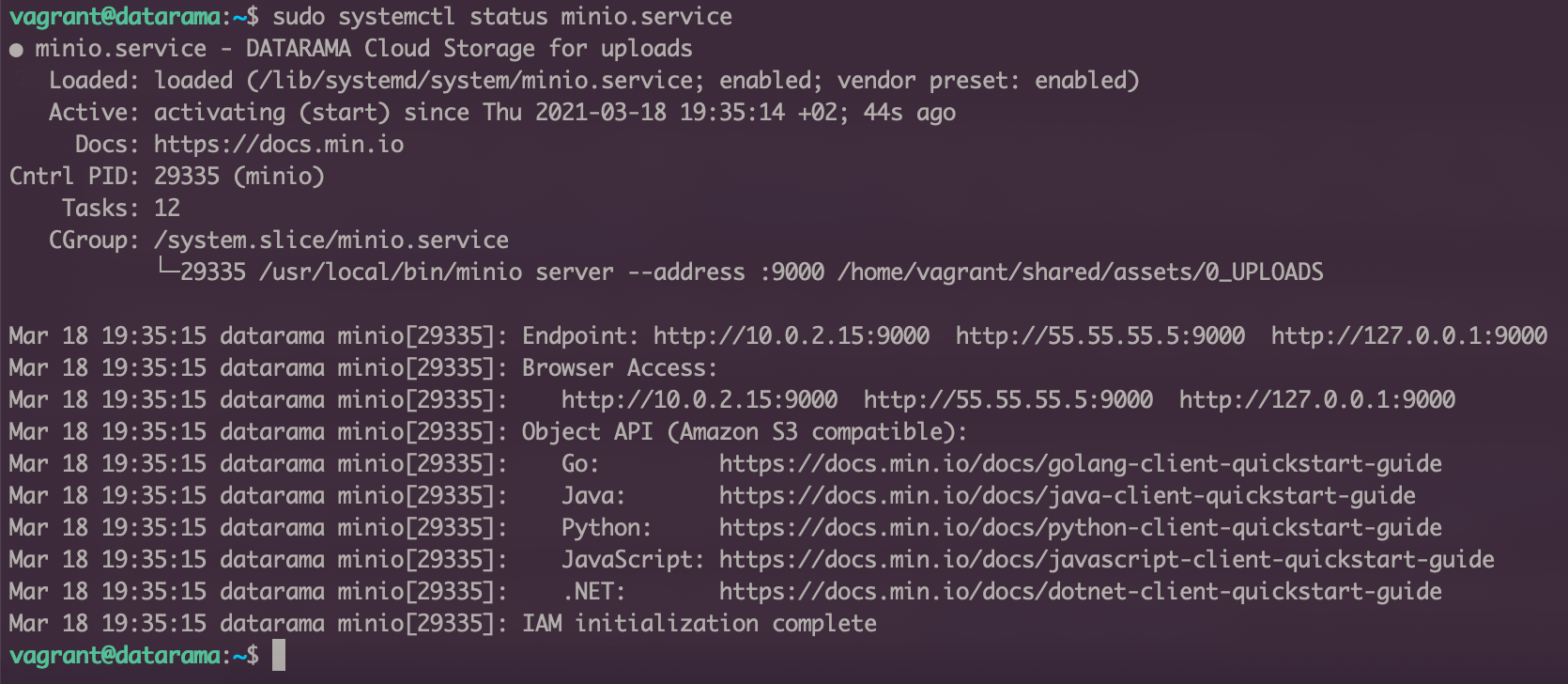 Minio starts in terminal fine but not in systemd service · Issue #11829 · minio/minio · GitHub