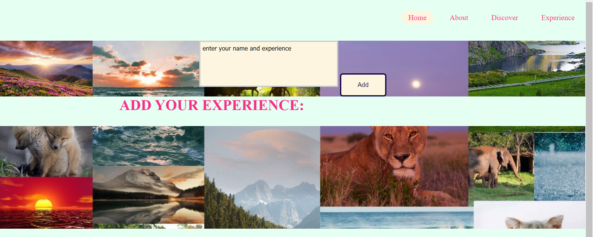 GitHub - Amala-06/Safarnama: A HTML, CSS, JavaScript based travel website