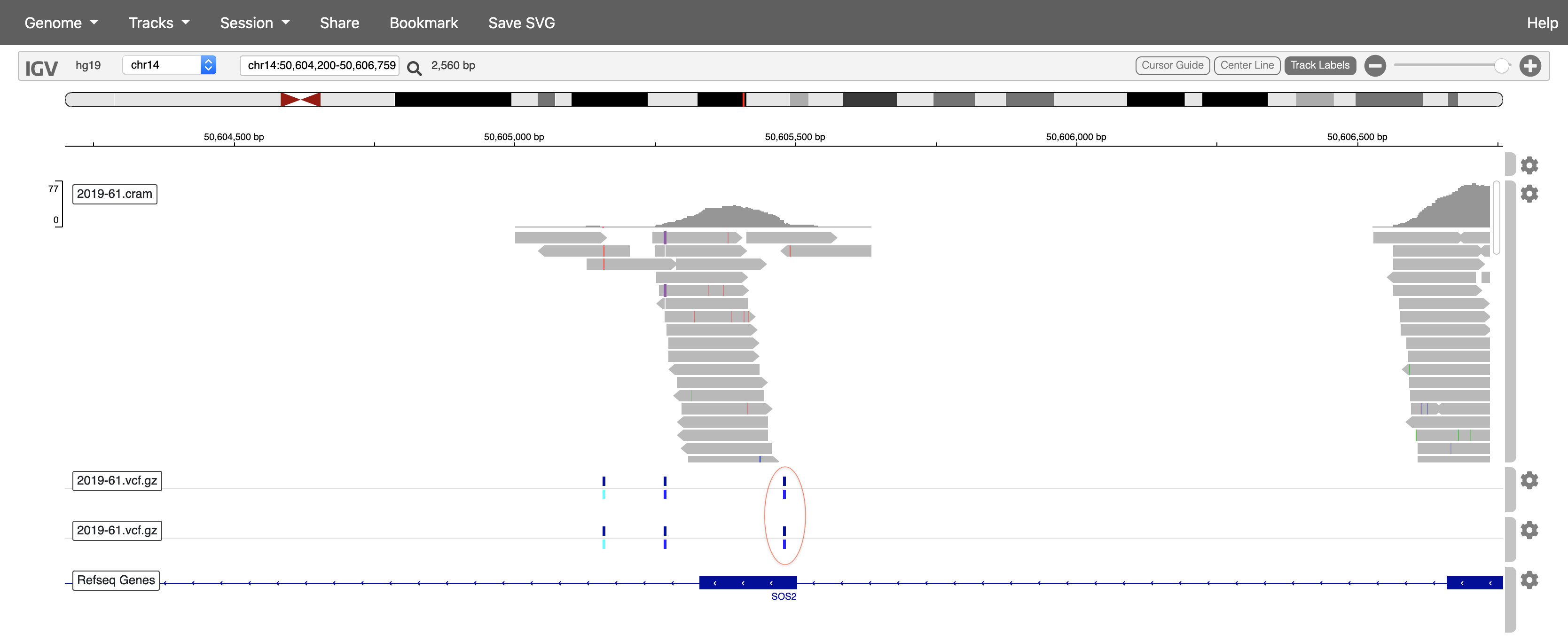 strange mutation · Issue #284 · google/deepvariant · GitHub