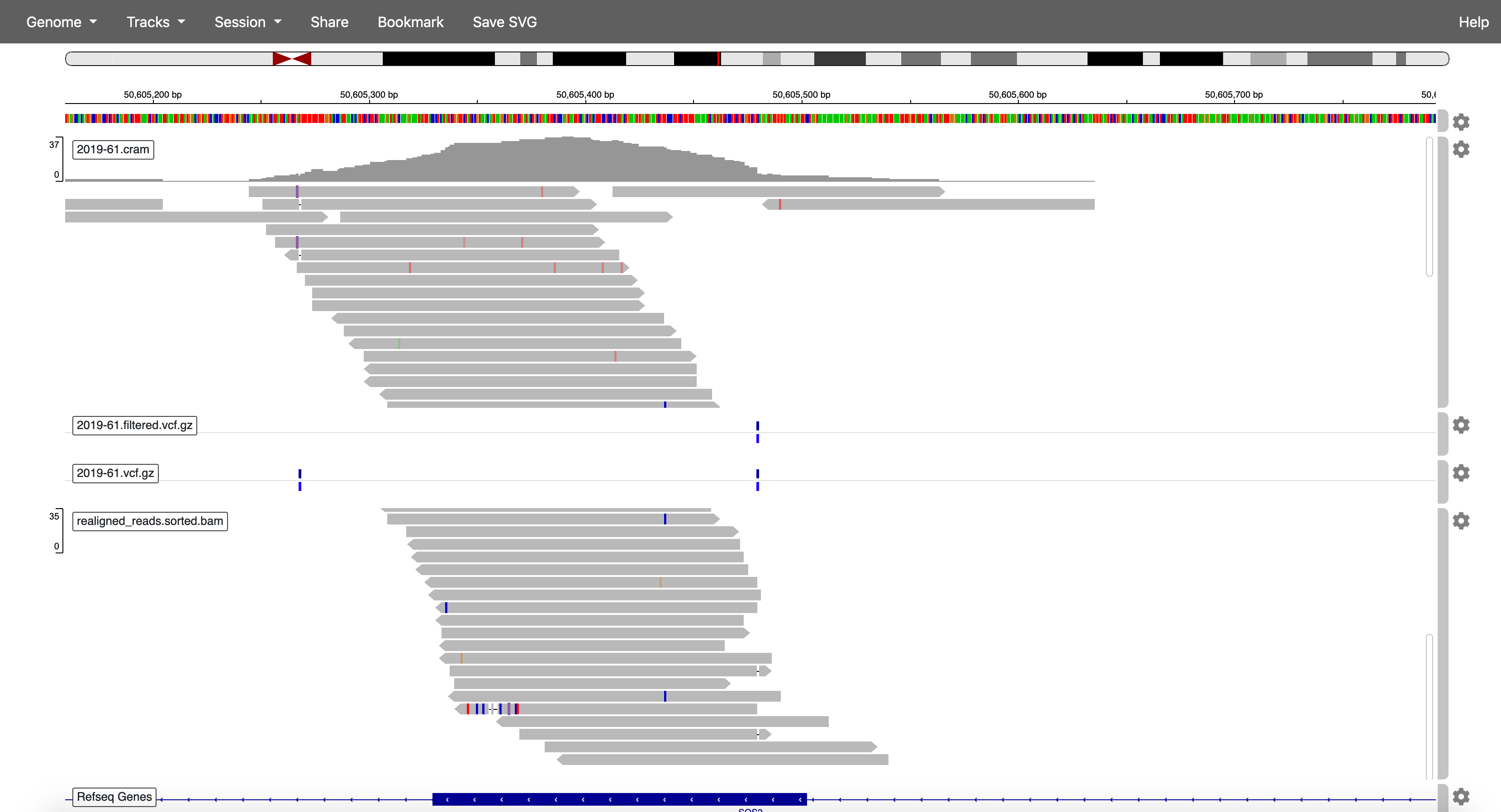 strange mutation · Issue #284 · google/deepvariant · GitHub