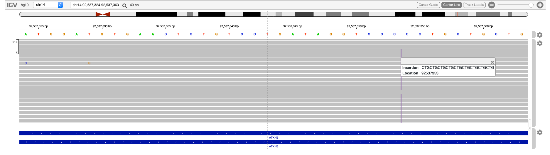 Search a position · Issue #1219 · igvteam/igv.js · GitHub
