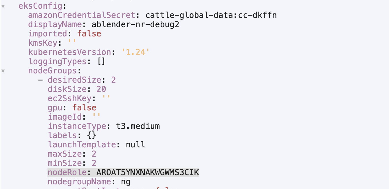 Ui Is Passing Incorrect Values For Eks Custom Node Group Node Roles