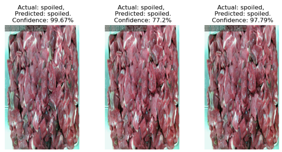 GitHub - RafaelVieira13/Red_Meat_Quality_Assesment_CNN