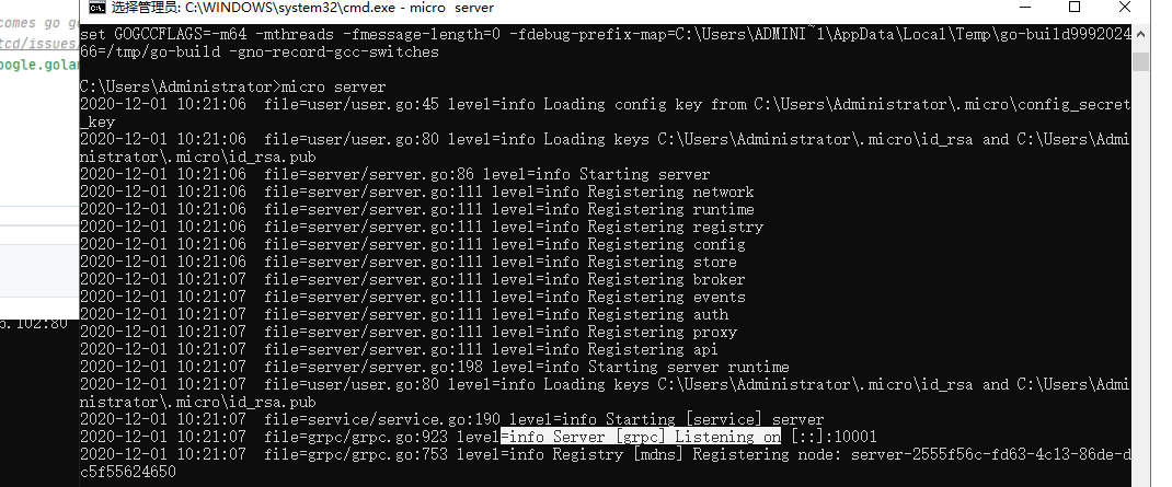 run helloworld error (windows10 and mac os) · Issue #1617 · micro/micro ...