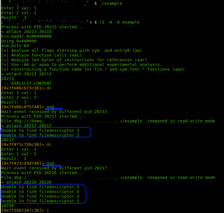 Unable To Find Filedescriptor · Issue 10183 · Radareorgradare2 · Github 6953