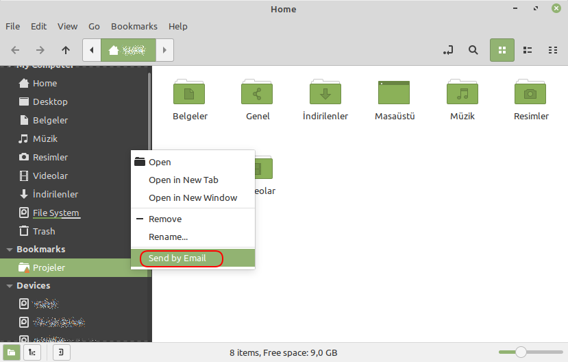 Nemo Sidebar Bookmarks Shows Sysfunctional (Send by Email) Option · Issue #2430 · linuxmint/nemo ...