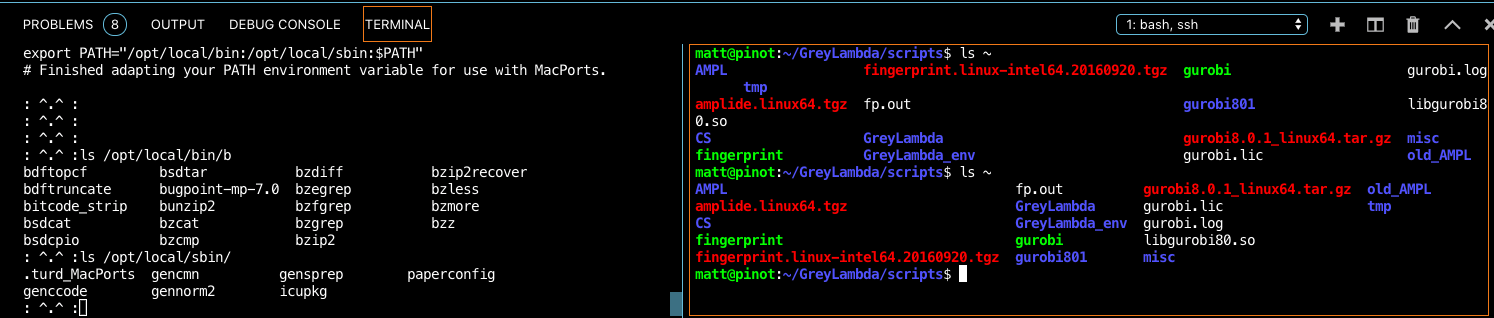 Terminal color theming is inconsistent for local and remote sessions ...