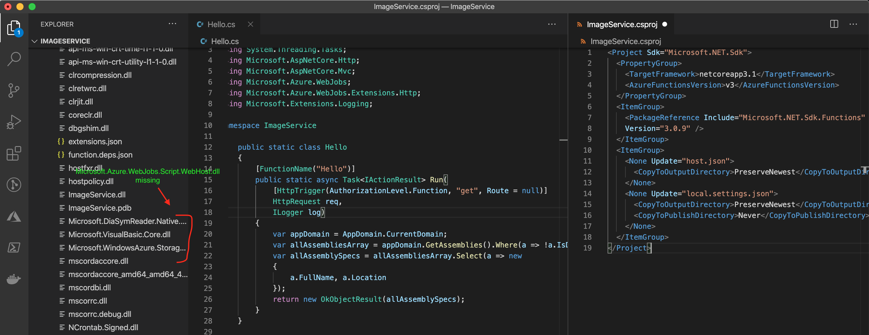 Self Contained Azure Functions App Does Not Have Microsoft Azure Webjobs Script Webhost Dll