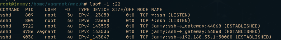 Add process to open ports in syscollector (Linux) · Issue #3859 · wazuh/wazuh · GitHub