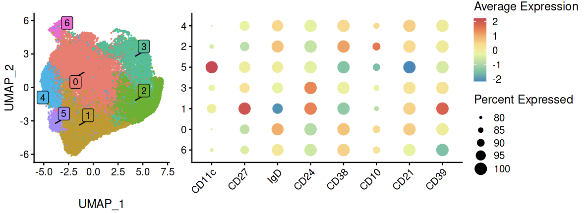 Can't reconcile 3 ADT expression plots · satijalab seurat · Discussion #7201 · GitHub