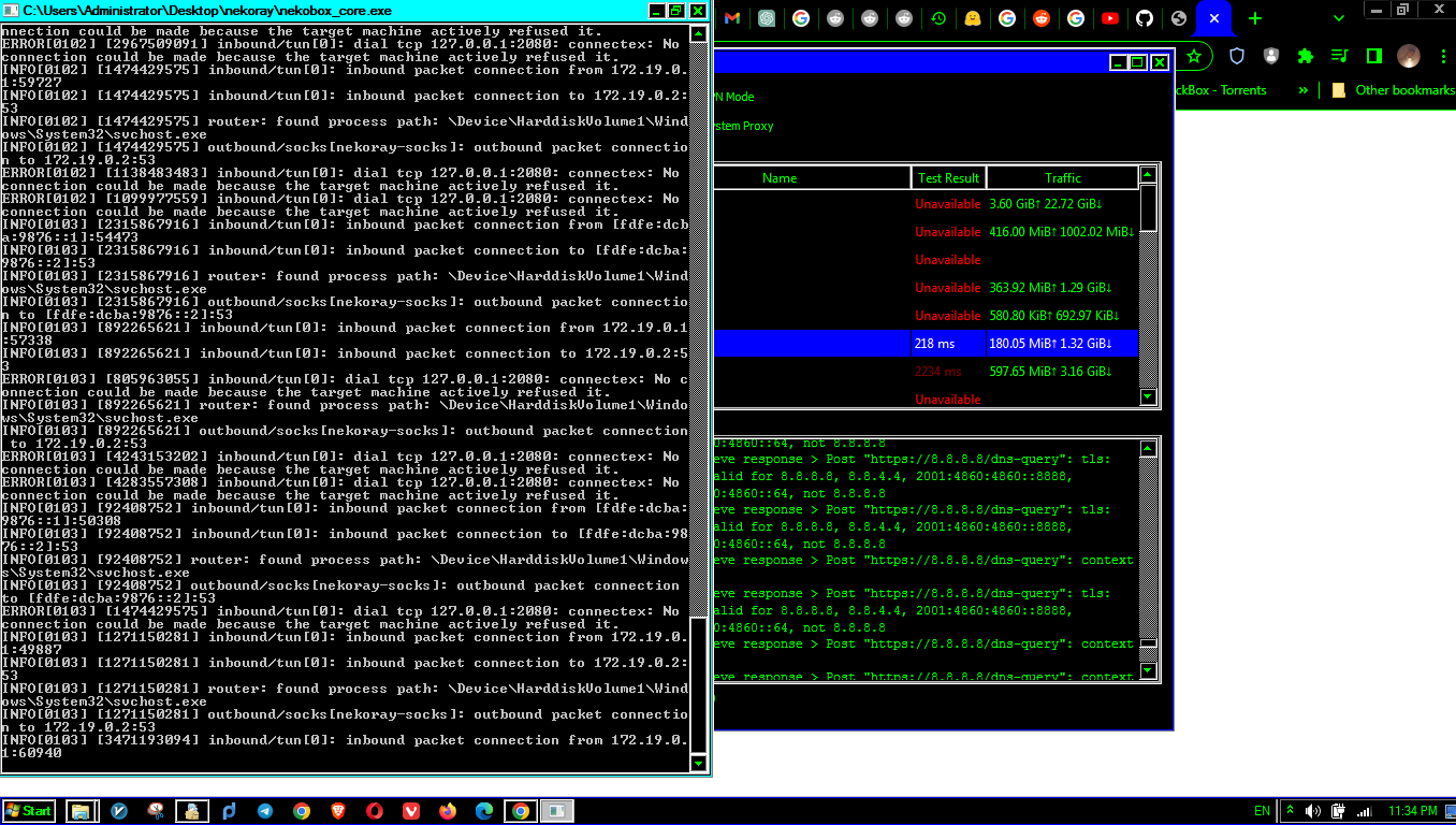 Nonfunctional Vpn Mode · Issue 508 · Matsuridayonekoray · Github 