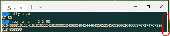 Terminal is starting up at a size that's different from initialRows ...
