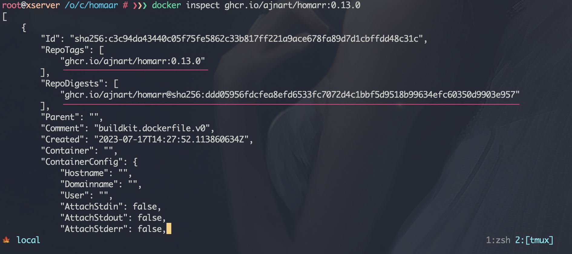 [Docker/v0.13.0] The docker image v0.13.0 packaging version is incorrect · Issue #1188 · ajnart ...
