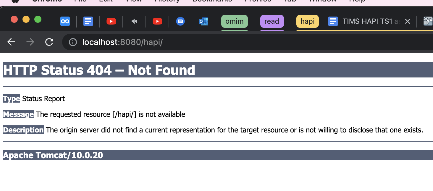 Can't debug on IntelliJ Ultimate · Issue #341 · hapifhir/hapi-fhir-jpaserver-starter · GitHub