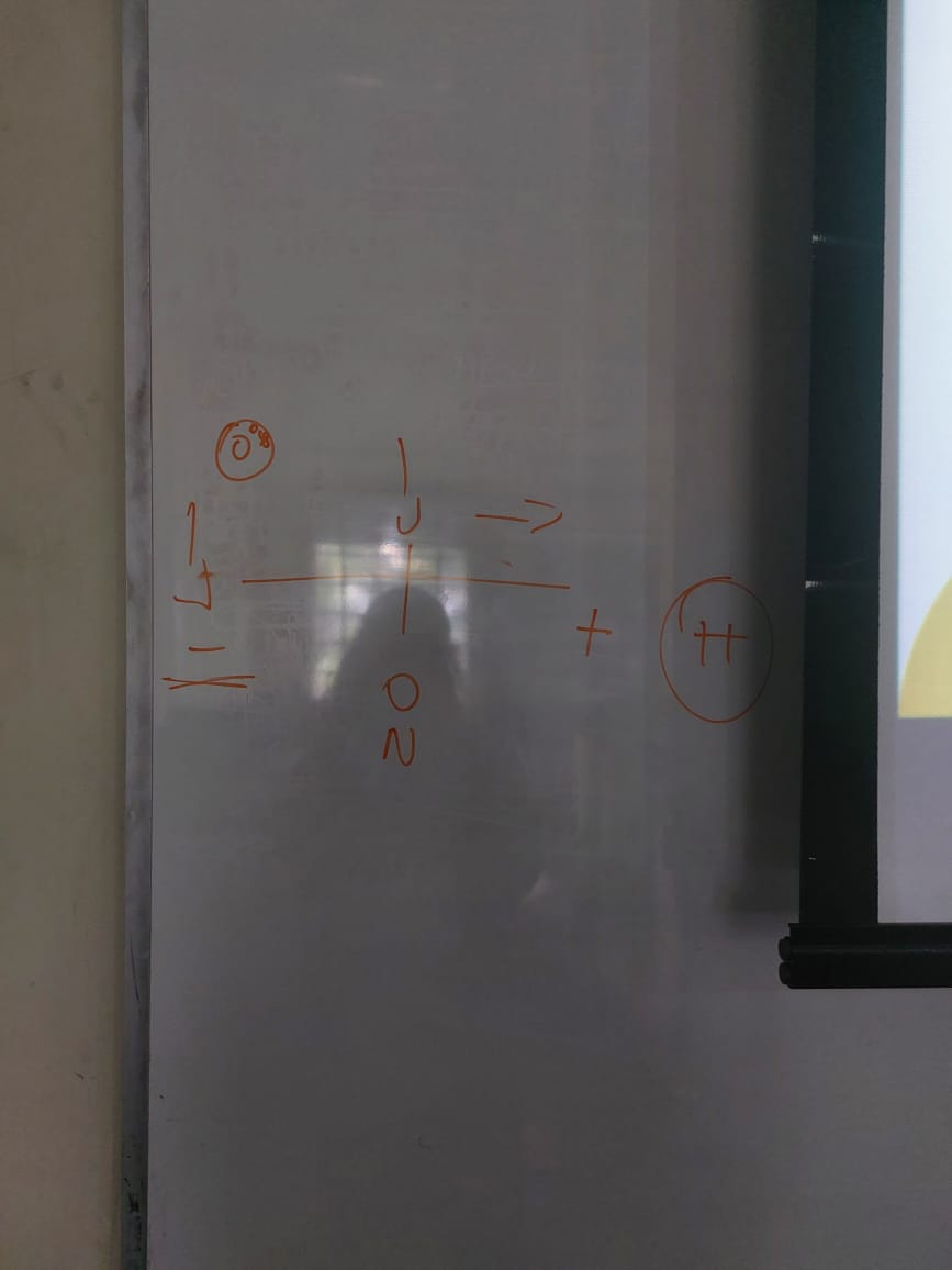 GitHub - gerentepetcare/petcare