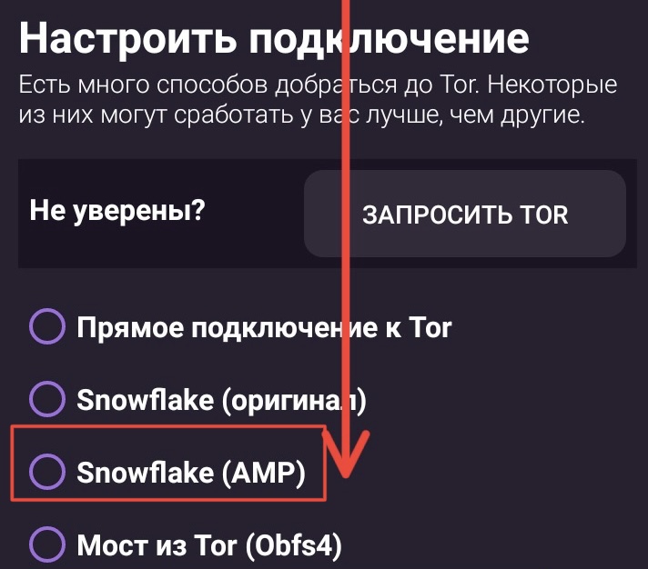 [BUG] AMP issues · Issue #877 · guardianproject/orbot-android · GitHub