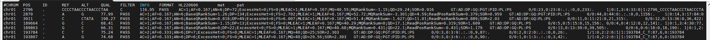 Haplotagging Relationship With Phased Vcf · Issue 431 · Whatshapwhatshap · Github