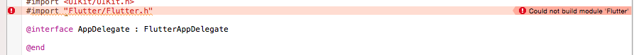 Error Running Flutter App In Xcode · Issue 11091 · Flutterflutter