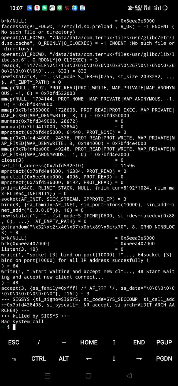 [Bug]: Bad system call in accept function on termux, when use glibc for termux · Issue #21 ...