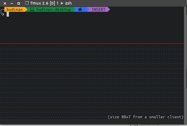 Tmux Started with a smaller client · Issue #8049 · ohmyzsh/ohmyzsh · GitHub