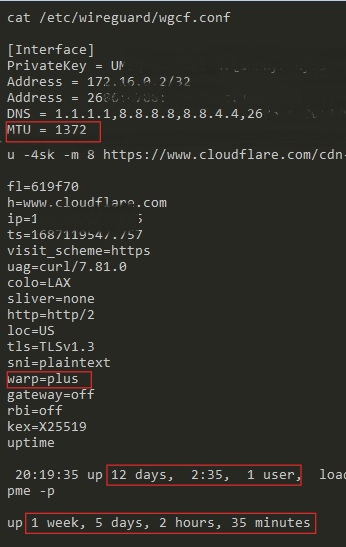 [help wanted 求助]: 没一会就断网，重启也没网。 · Issue #401 · fscarmen/warp · GitHub