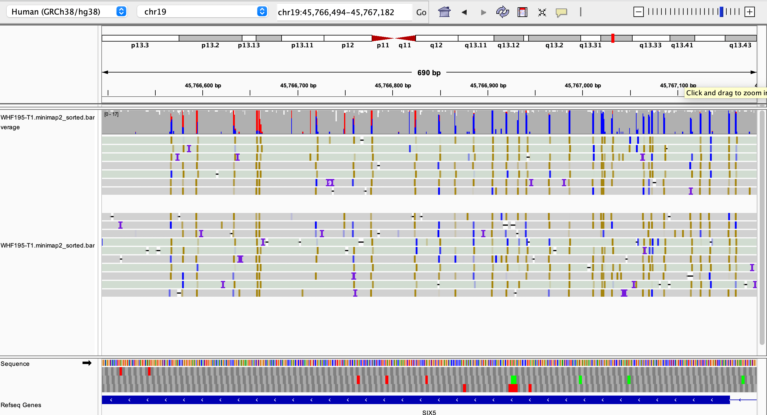 5mC - Odd Colours? · Issue #1186 · igvteam/igv · GitHub