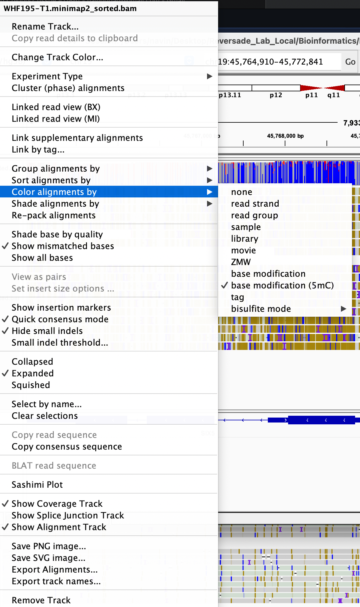 5mC - Odd Colours? · Issue #1186 · igvteam/igv · GitHub