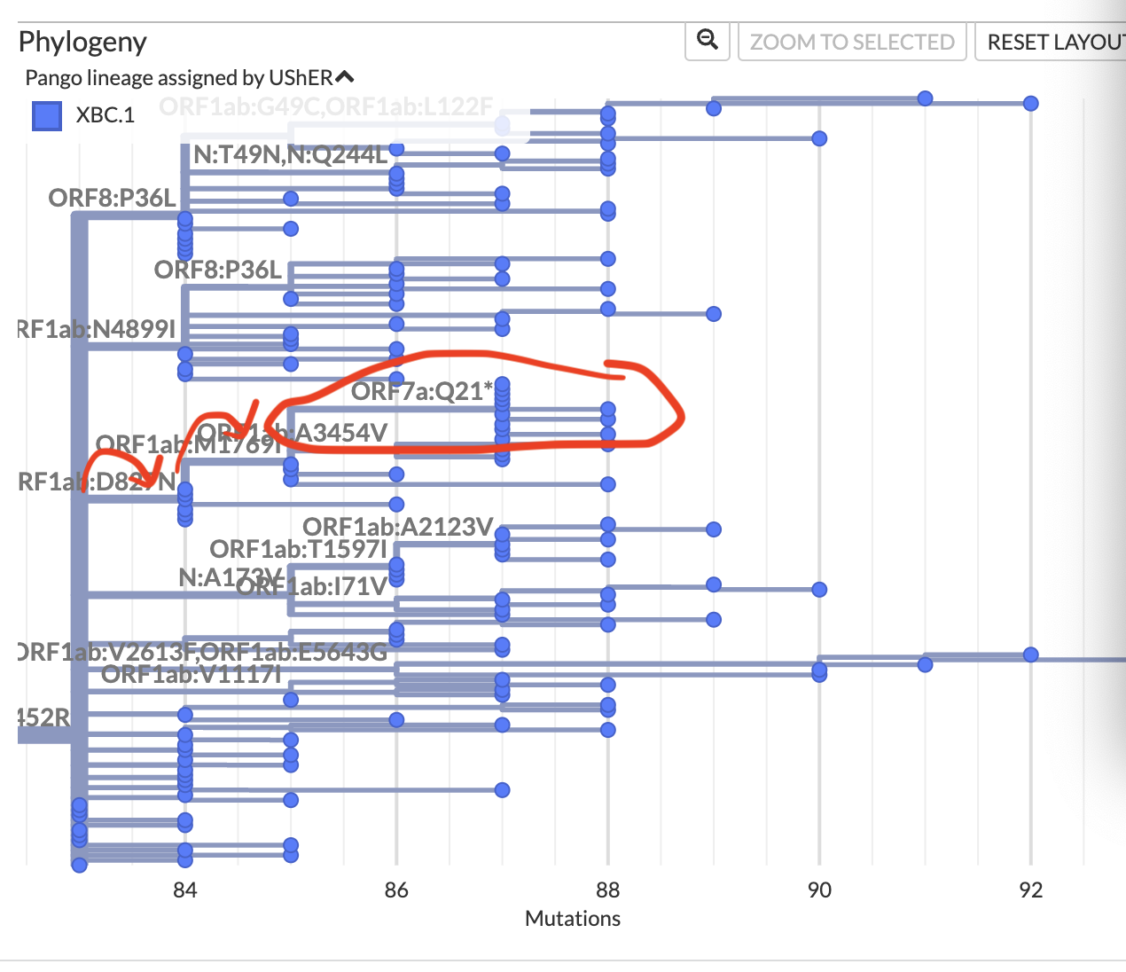 Descendent of XBC.1.6 with stop codon in orf7a:Q21* in South Australia · Issue #1928 · cov ...