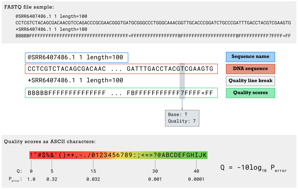 GitHub - JannaColt/MineriaGen: Contiene pipeline para minería genómica