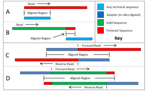 GitHub - JannaColt/MineriaGen: Contiene pipeline para minería genómica