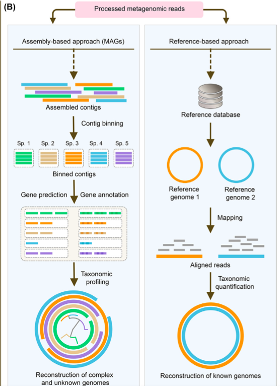 GitHub - JannaColt/MineriaGen: Contiene pipeline para minería genómica