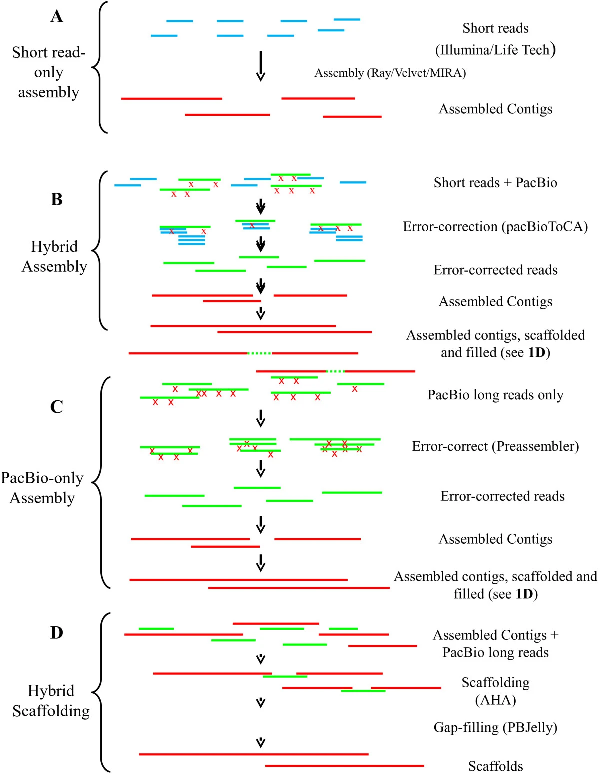 GitHub - JannaColt/MineriaGen: Contiene pipeline para minería genómica