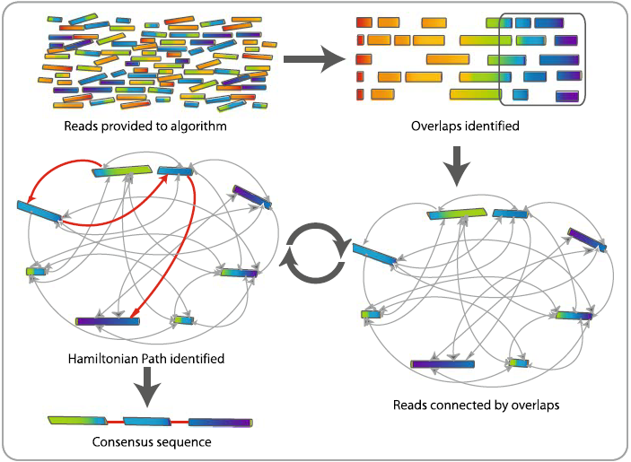 GitHub - JannaColt/MineriaGen: Contiene pipeline para minería genómica