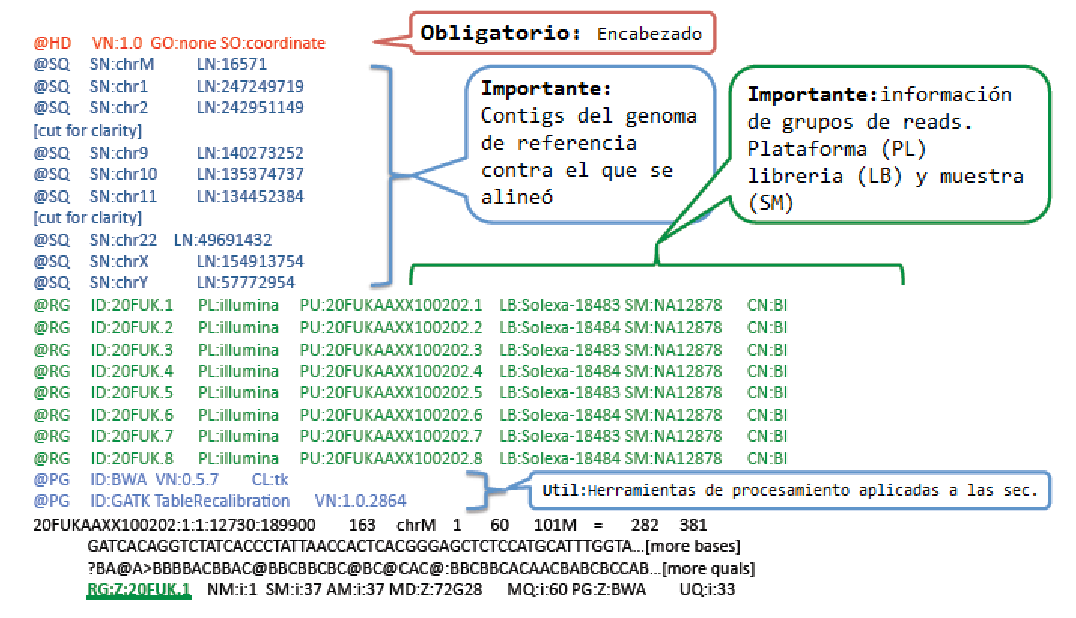 GitHub - JannaColt/MineriaGen: Contiene pipeline para minería genómica