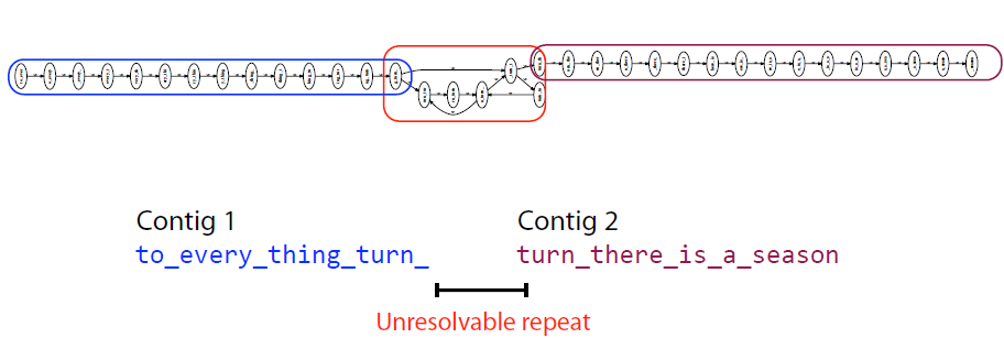 GitHub - JannaColt/MineriaGen: Contiene pipeline para minería genómica