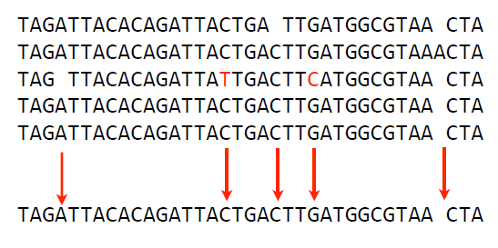 GitHub - JannaColt/MineriaGen: Contiene pipeline para minería genómica