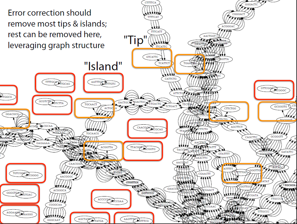 GitHub - JannaColt/MineriaGen: Contiene pipeline para minería genómica