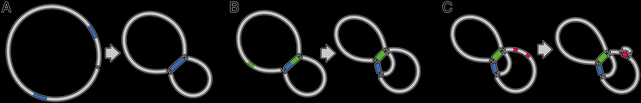 GitHub - JannaColt/MineriaGen: Contiene pipeline para minería genómica