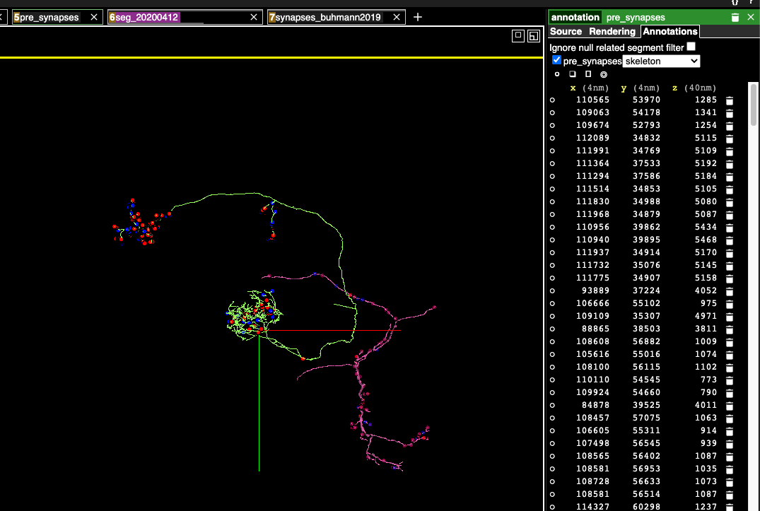 Adding annotations to specific skeletons · Issue #267 · google/neuroglancer · GitHub