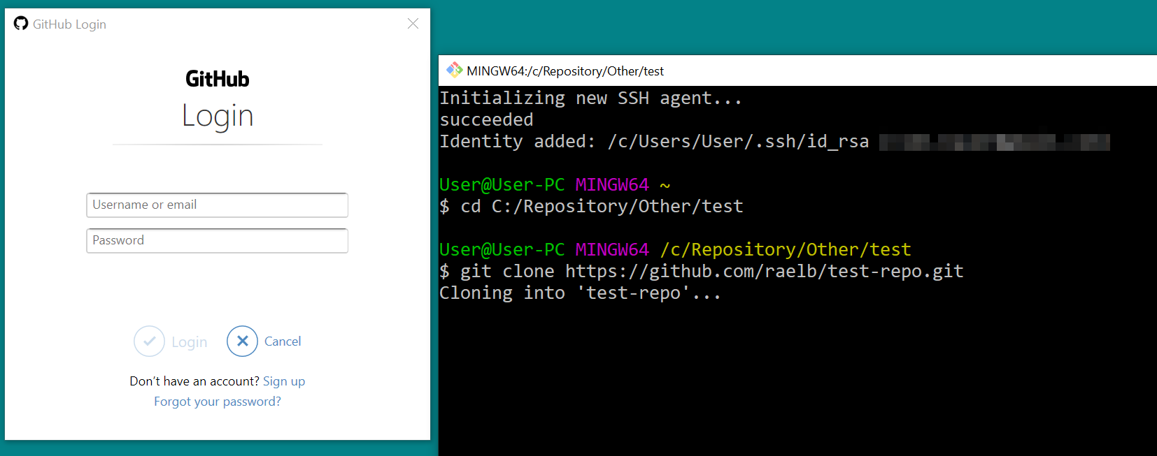 Setup SSH Authentication For Git Bash On Windows GitHub