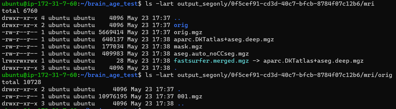 Missing Output File From Seg Only Option · Issue 309 · Deep Mi Fastsurfer · Github