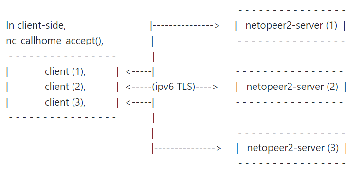 TLS call-home : Client session establishments with redundant · Issue #1272 · CESNET/netopeer2 ...