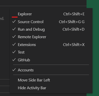 Explorer side-tab missing · Issue #118048 · microsoft/vscode · GitHub