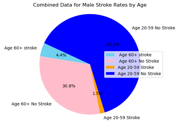 GitHub - Rajeshwariradhakrishna/Stroke-Prediction-Analysis: The objective of this project is to ...